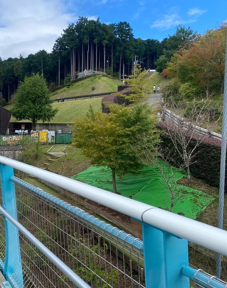 【三島スカイウォーク】ロングジップラインで飛んでいく人を横目に日本最長の吊り橋を歩く